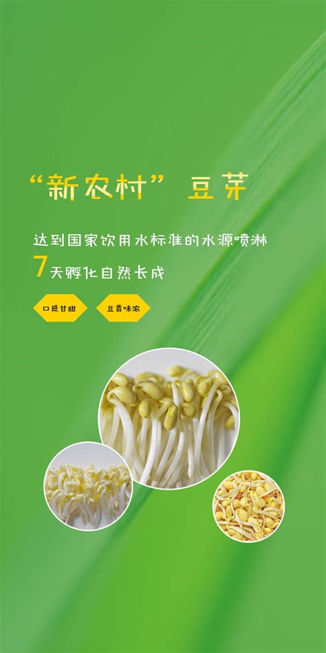 洛阳豆芝芽农业科技新农村芽状元豆芽工厂即食豆芽