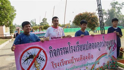 กิจกรรมโรงเรียนปลอดลูกน้ำยุงลาย Ban Long Or School Mae Soon