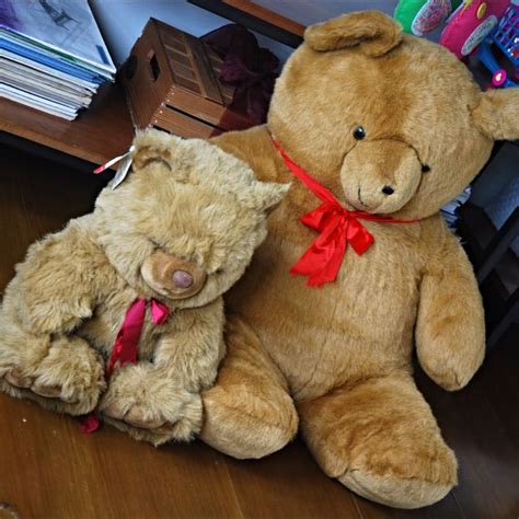 Teddy Bear Big And Small Hobbies And Toys Toys And Games On Carousell