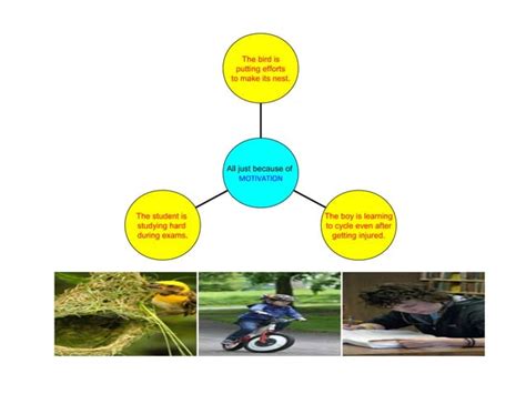Organizational Behavior Motivation PPT