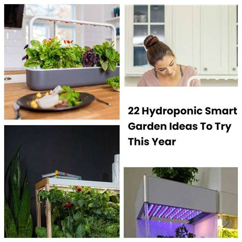 Hydroponic Smart Garden Ideas To Try This Year SharonSable
