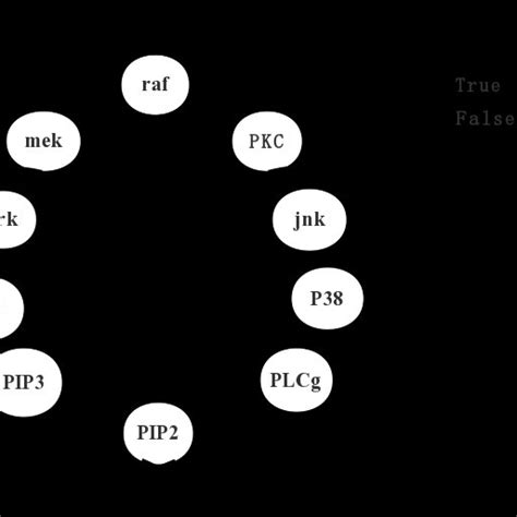 Causal Protein Network Obtained With Dag Ccnn Download Scientific