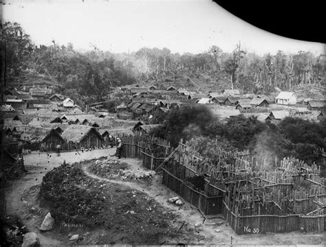 Parihaka Pa Envirohistory Nz