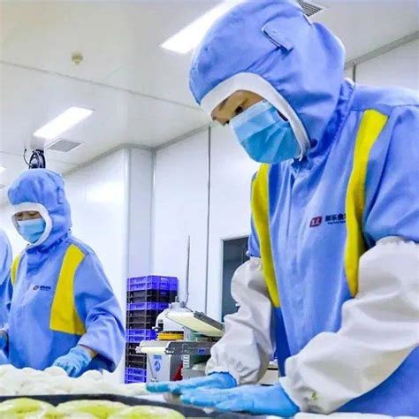 这一年虎力全开 春新出发 大地 中国 陇原