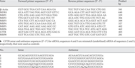 Primer And Sirna Sequences Used A The Primer Sequences Of Cftr Mrp Download Scientific Diagram
