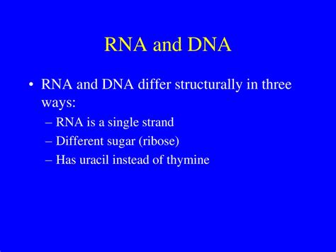 Dna Notes Ppt Download
