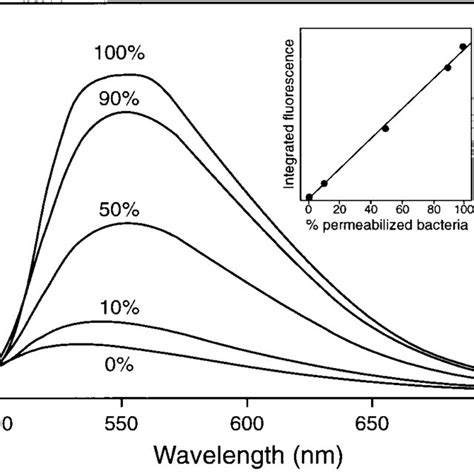 Fluorescence Microscopy Of Propidium Iodide And Sytox Green
