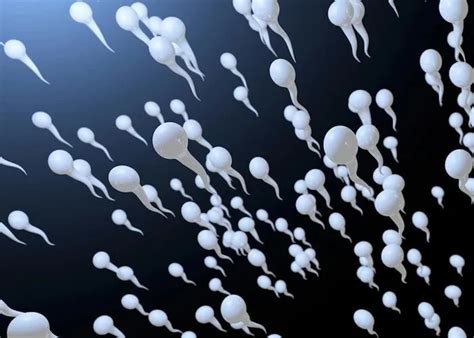 Benarkah Sperma Bagus Untuk Wajah Ini Penjelasannya Esposid Espos
