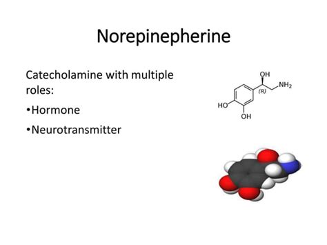 Epinephrine And Norepinephrine Pptx