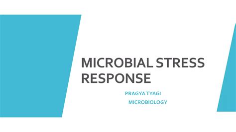 Microbial Stress Response Pptx