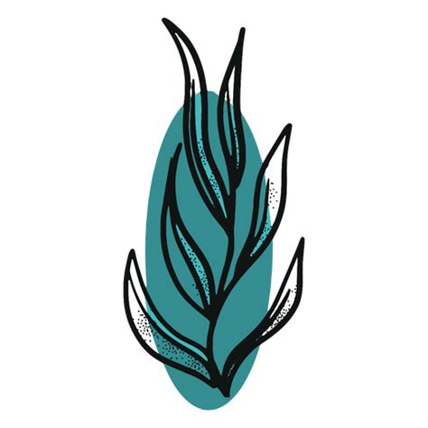 Diseño Png Y Svg De Algas Marinas Verdes Para Camisetas