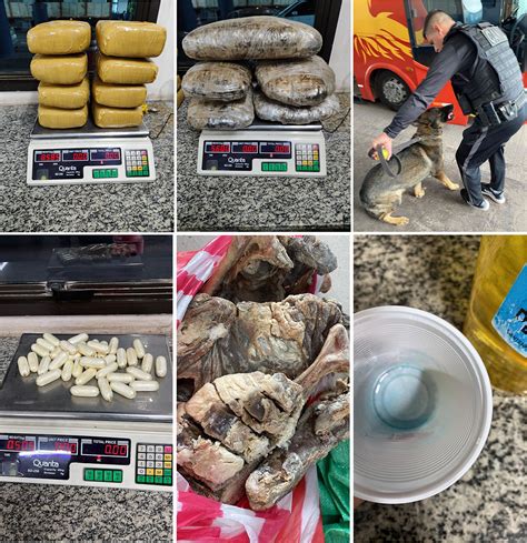 Receita Federal PRF e PM realizam operação conjunta que resultou na