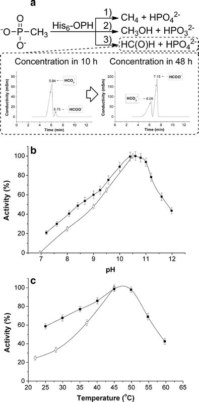 A Possible Decomposition Pathways Of Mpa Under The Action Of Download Scientific Diagram