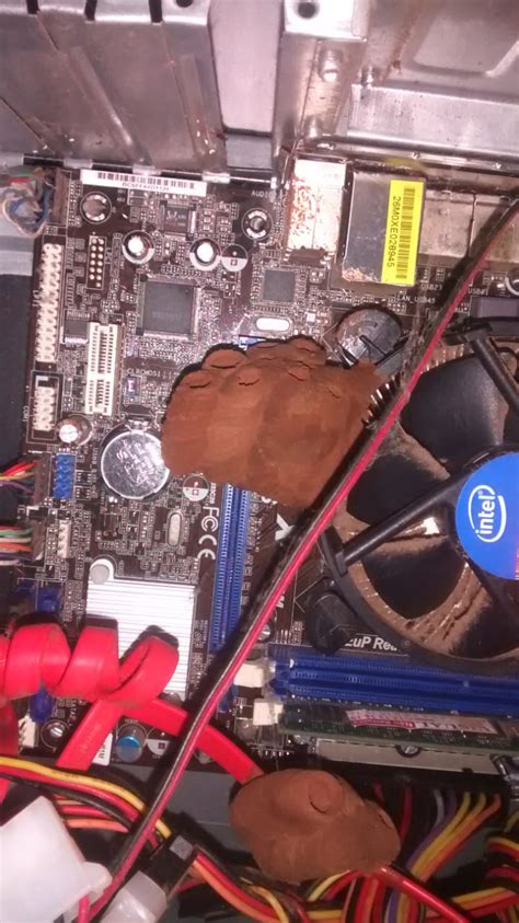 I Wonder Why My Computer Is Not Working R WTF