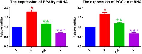 The Expression Of Pparγ And Pgc 1α Mrna In Primary Cultured Neural Download Scientific Diagram