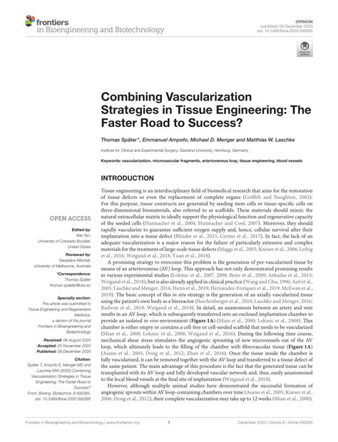 Pdf Combining Vascularization Strategies In Tissue Engineering The