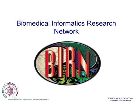 BIRN Advantages In Morphometry Standards For Data Management Curation
