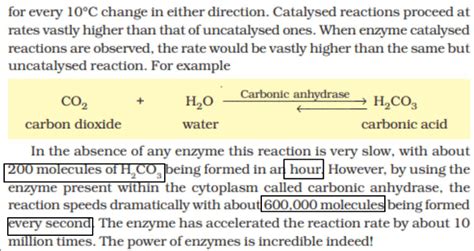 Enzymes Definition Functions And Their Structure
