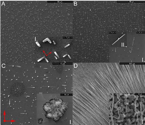 A Type 1 Nanowires D 10 Cm Distance To The Ti Source B