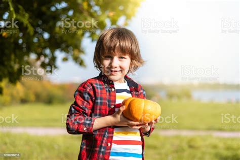 귀여운 소년은 할로윈에 가을 공원에서 호박과 함께 재생합니다 아이들은 속임수 또는 치료 가을에 재미 아이를 차려 입고 10월에 대한 스톡 사진 및 기타 이미지 Istock