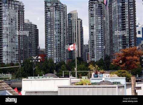 Canadian Flag With The Residential High Rises In Downtown Vancouver