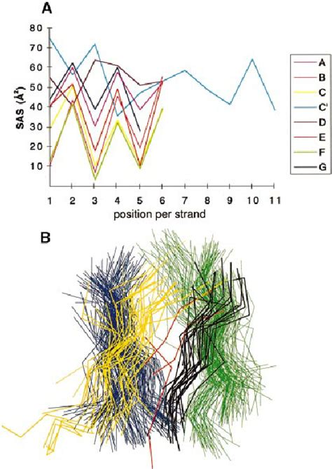 A Average Of Solvent Accessibility Surfaces Sas The Mean Solvent