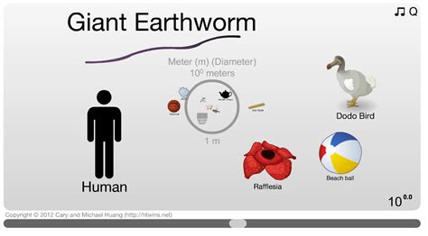 Scale Of The Universe