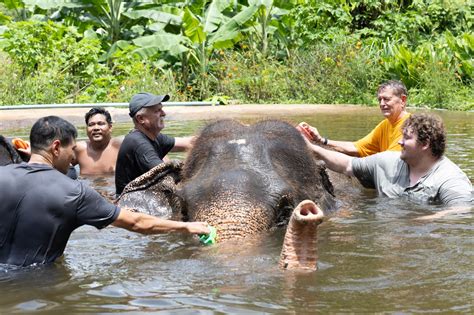 Usns Yukon Crew Visits Swims With Thai Elephants United States Navy