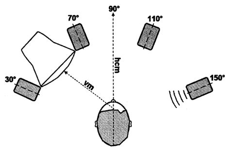 Relative Arrangement Of Visual Cues Locations Of Auditory Targets And