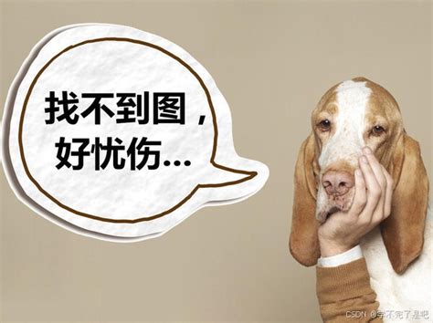 在公司和开发过程中最常用的sql语句大全企业需要sql一般是什么类型 Csdn博客