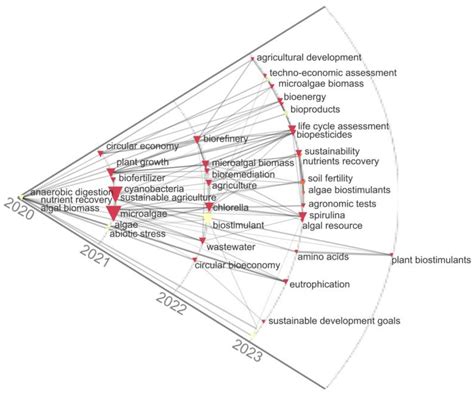 Advances In The Development Of Biofertilizers And Biostimulants From