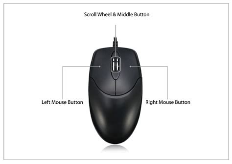 X Mouse Button Control Download Mac Paulrenew