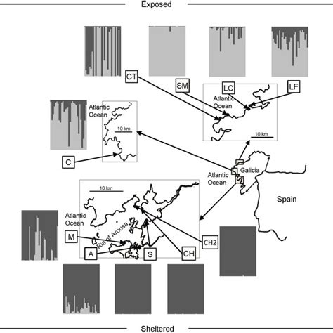 Map Combining Nucella Lapillus Sample Locations And Structure Output