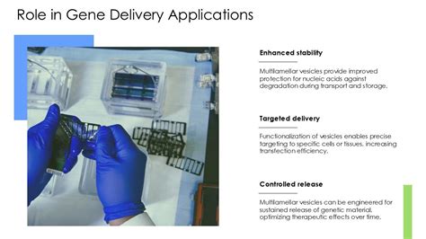 Exploring Multilamellar Vesicles Structure And Applications Ppt