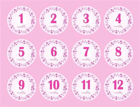 12 Meses Vector Premium