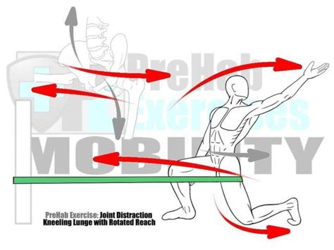List Of Common Compensation Patterns And Movement Dysfunctions Artofit