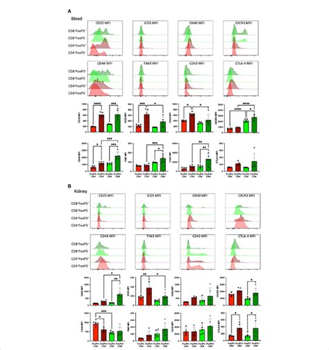 Foxp Cd T Cells Exhibit Distinct Cell Surface Expression Profiles