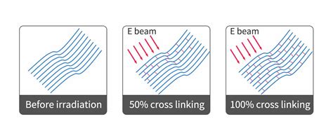 Understanding Physical Crosslinking And Its Role In Material Science Ebm Machine