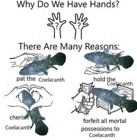 Why Do We Have Hands There Are Many Reasons Know Your Meme