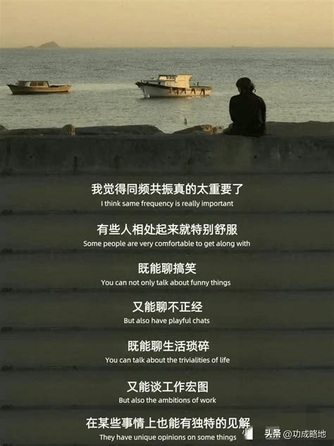 遇见同类：频率相同的人如何相互成就与成长共鸣时光心灵