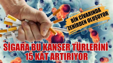 Sigara bu kanser türlerini kat artırıyor Sağlık Görsel