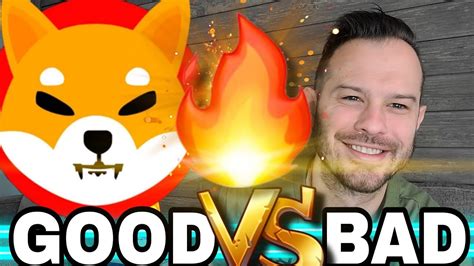 Shiba Inu Coin Shibarium Burns The Good And Bad For Shib Youtube