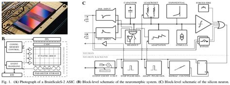 New Article An Accurate And Flexible Analog Emulation Of Adex Neuron