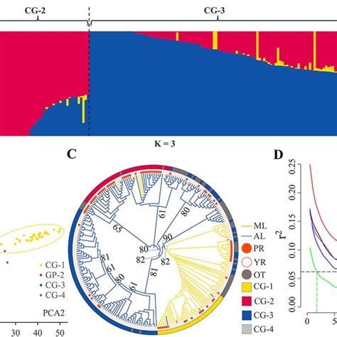 Population Structure And Ld Of 253 Accessions A Inferred Population Download Scientific Diagram