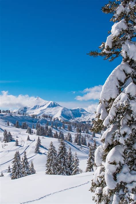 Les Plus Belles Stations De Ski En France Artofit