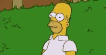 Homer Hedge S Tenor
