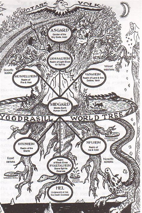 Yggdrasil Voynich Davidsch