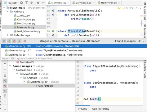 Part Find Usages PyCharm Documentation
