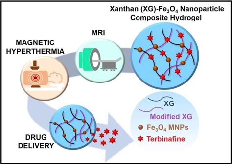 Figure 1 From Advances In Xanthan Gum Based Systems For The Delivery Of