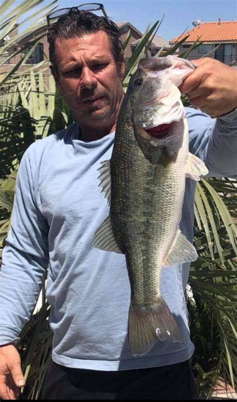 William Walker Posted On Linkedin